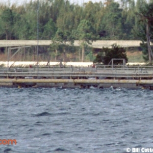 Polynesian Resort Wave Machine - RetroWDW